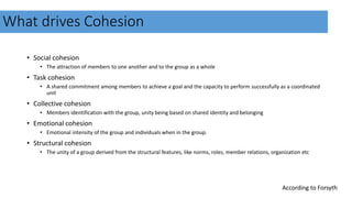 Group Cohesion - Summary | PPT
