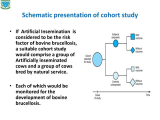 Cohort | PPTX