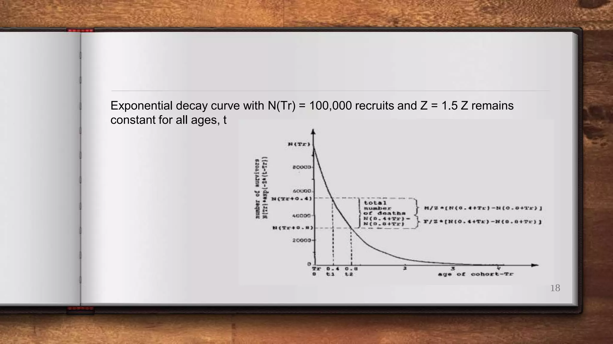 Cohort dynamics and exponential decay model | PPTX