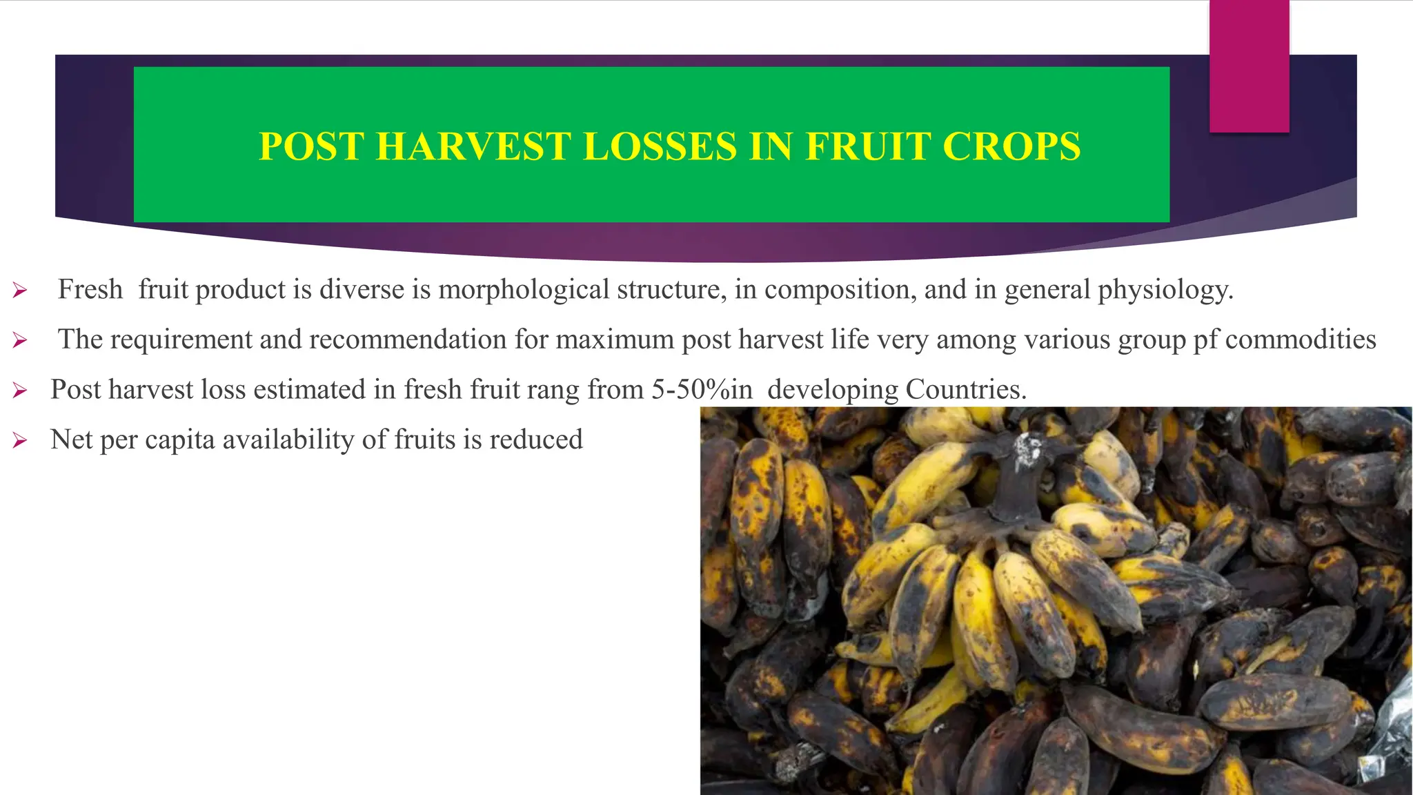 post harvest management of horticultural crops | PPTX