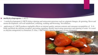 post harvest management of horticultural crops | PPTX