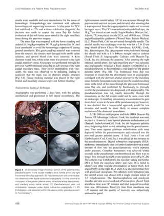 Coil embolization of a palatine artery pseudoaneurysm in a gelding | PDF