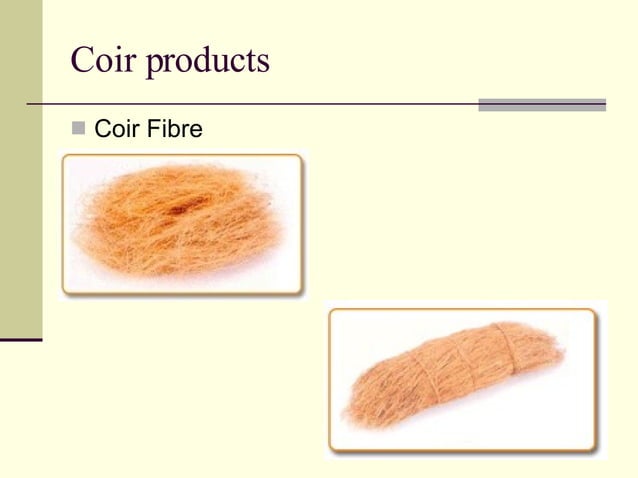Coir Board Of India | PPT | Agriculture | Industries