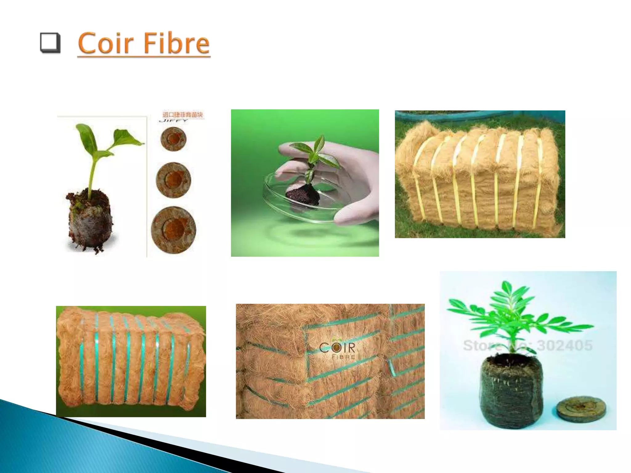 How to manufacturers coir fibre types & uses | PPTX | Shaving ...