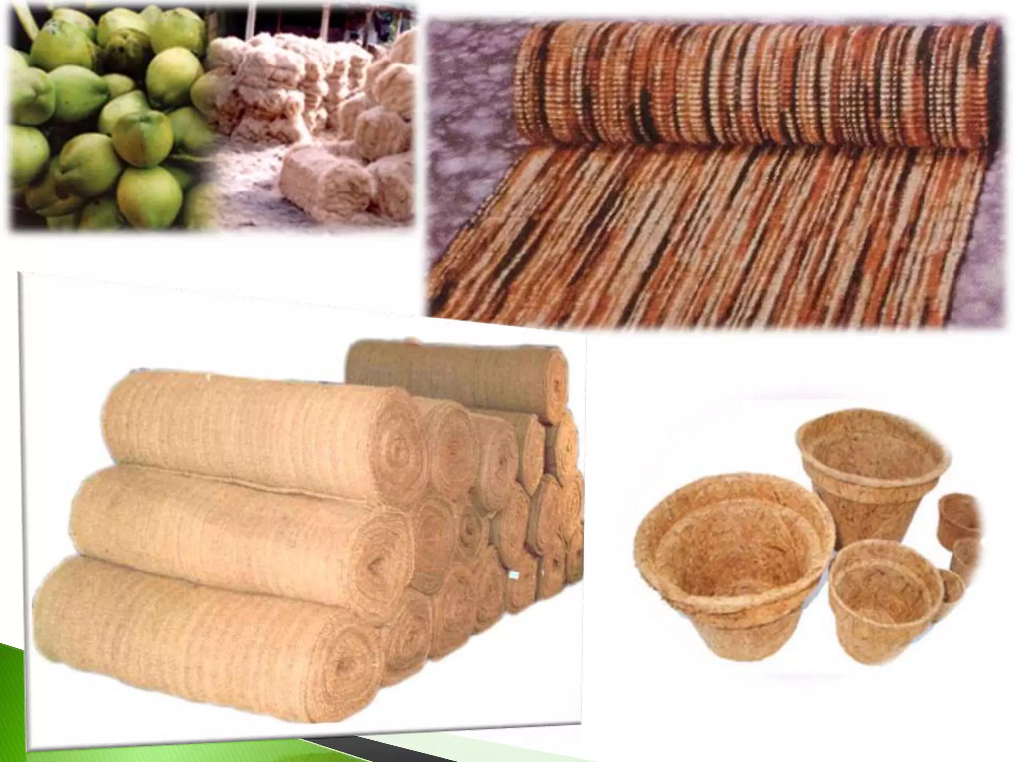 Coir Geotextiles, Coir Nettings / Geotextiles, Coir Woven Bhoovastra ...