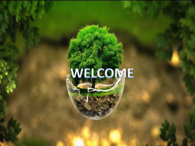 Coir pith compost | PPTX | Agriculture | Industries