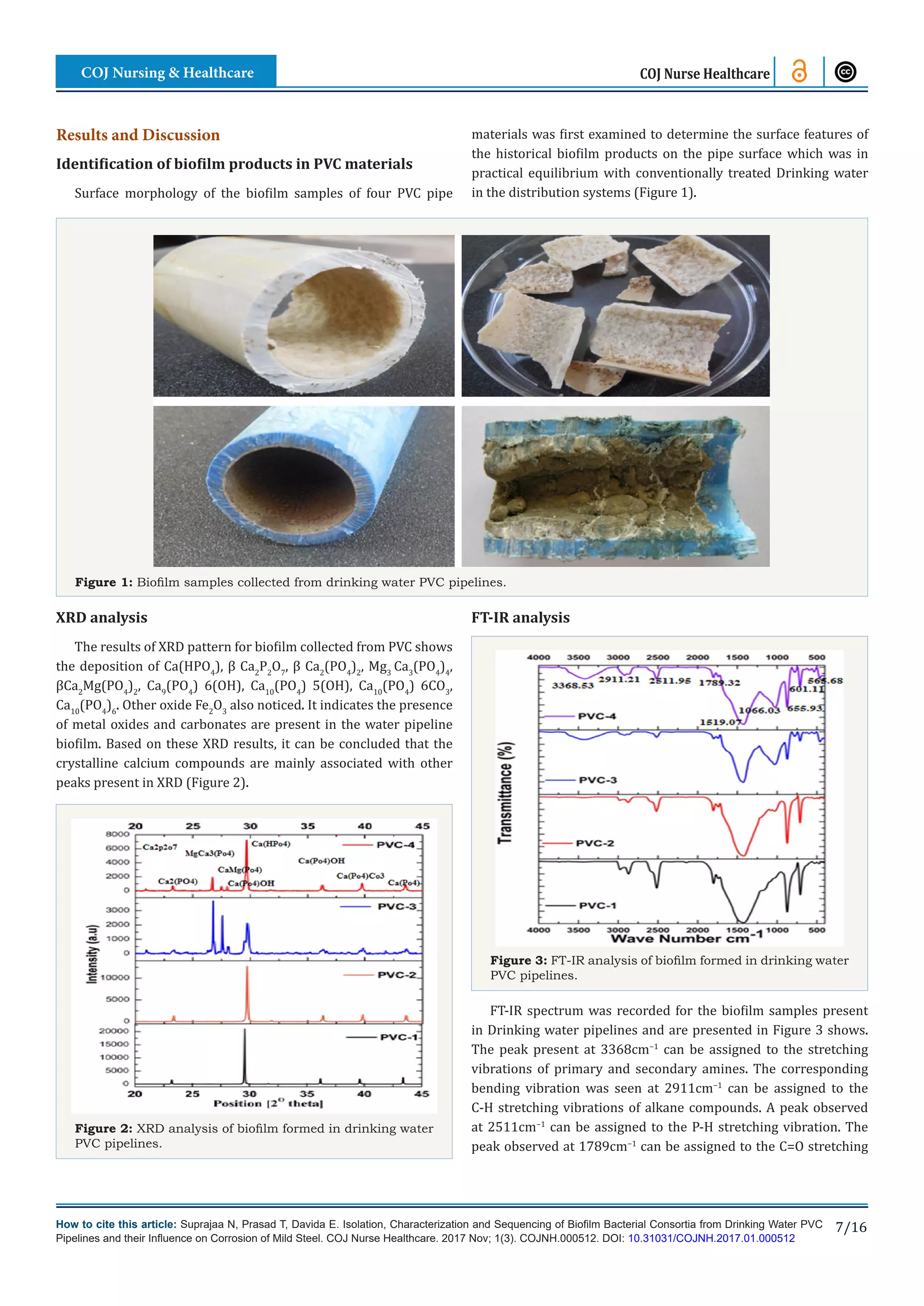 Isolation, Characterization and Sequencing of Biofilm Bacterial Consortia from Drinking Water ...