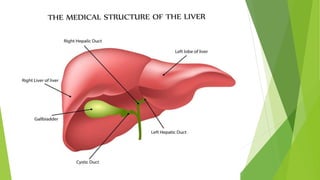 Cirrhosis of Liver | PPTX
