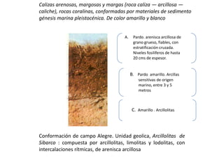 perfil de suelo analisis | PDF