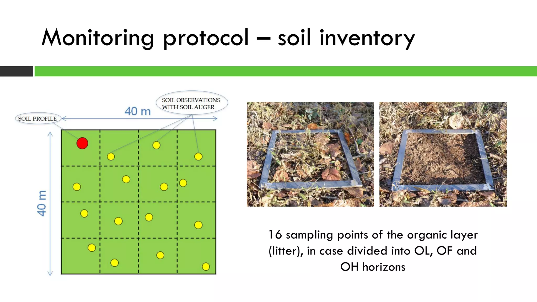 Colangelo_introduction | PPT