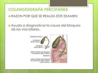 Colangiografía | PPTX