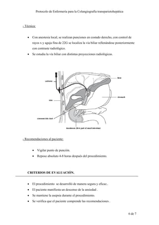 Colangiografia | PDF