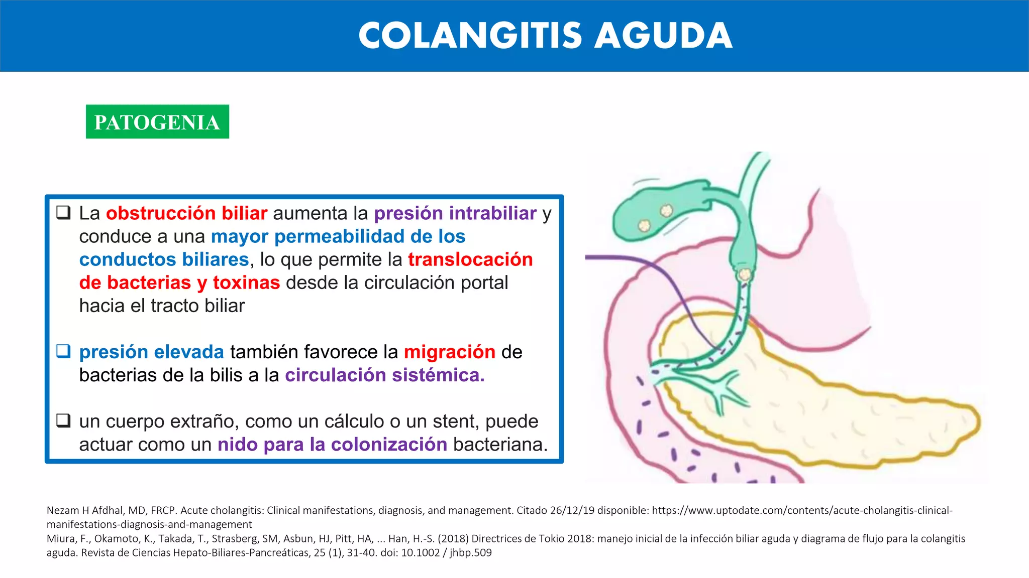 COLANGITIS AGUDA-CIRUGIA/concepto, etiologia, patogenia ...