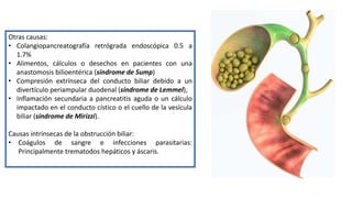 colangitis aguda/patogenia/mnifestaciones clinicas.pptx