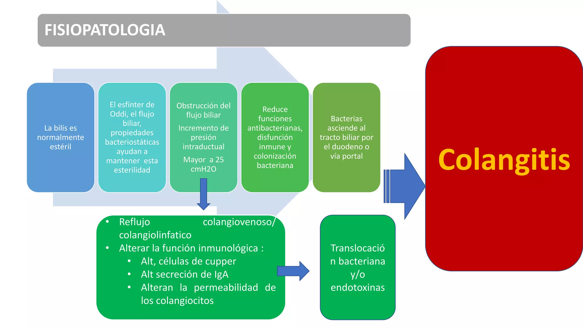 Colangitis dx y clasif segun criterio de tokio2018 | PPTX