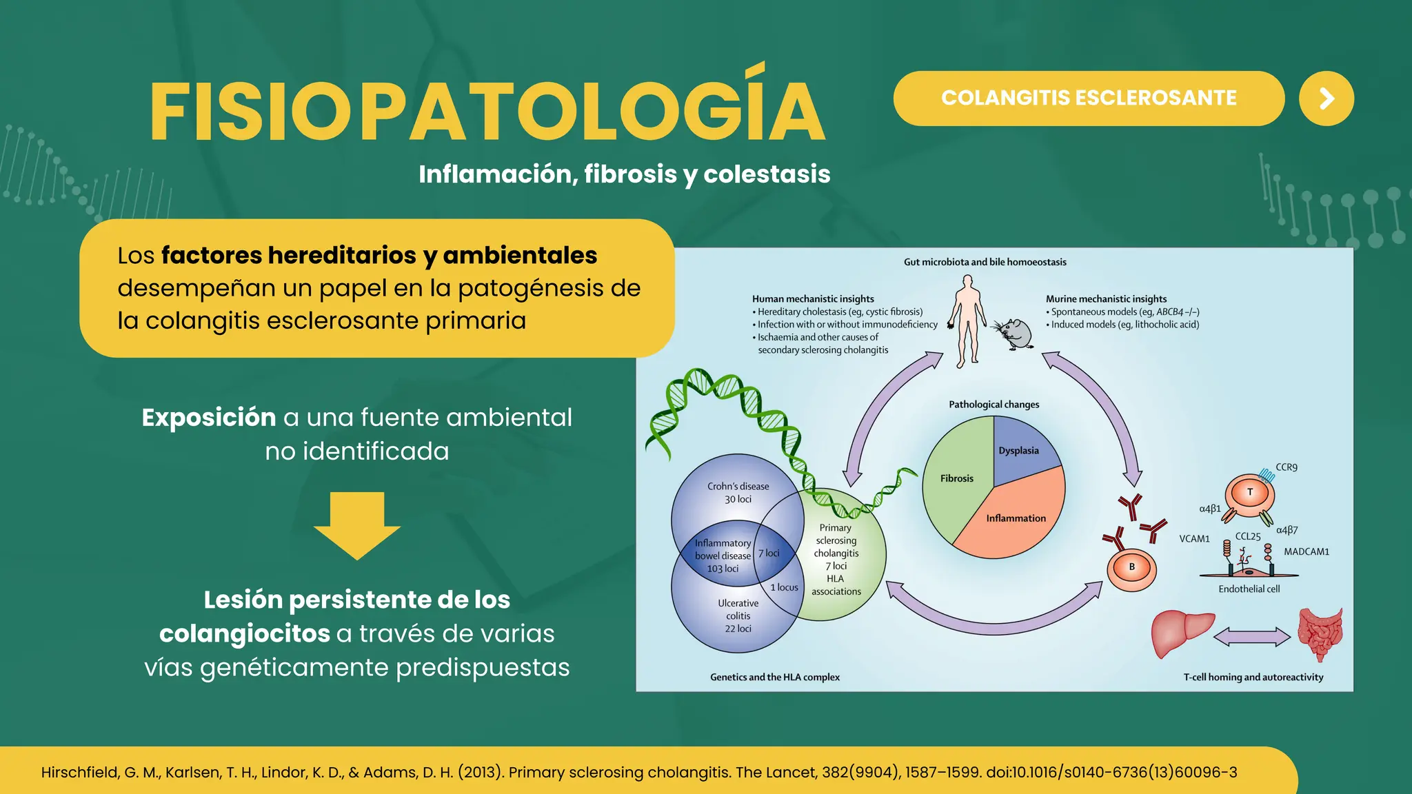 Colangitis Esclerosante Primaria - María Randino.pdf