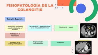 COLANGITIS PATOLOGIA.pptx