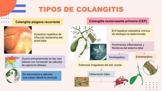 COLANGITIS PATOLOGIA.pptx