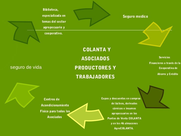 Colanta exposicion