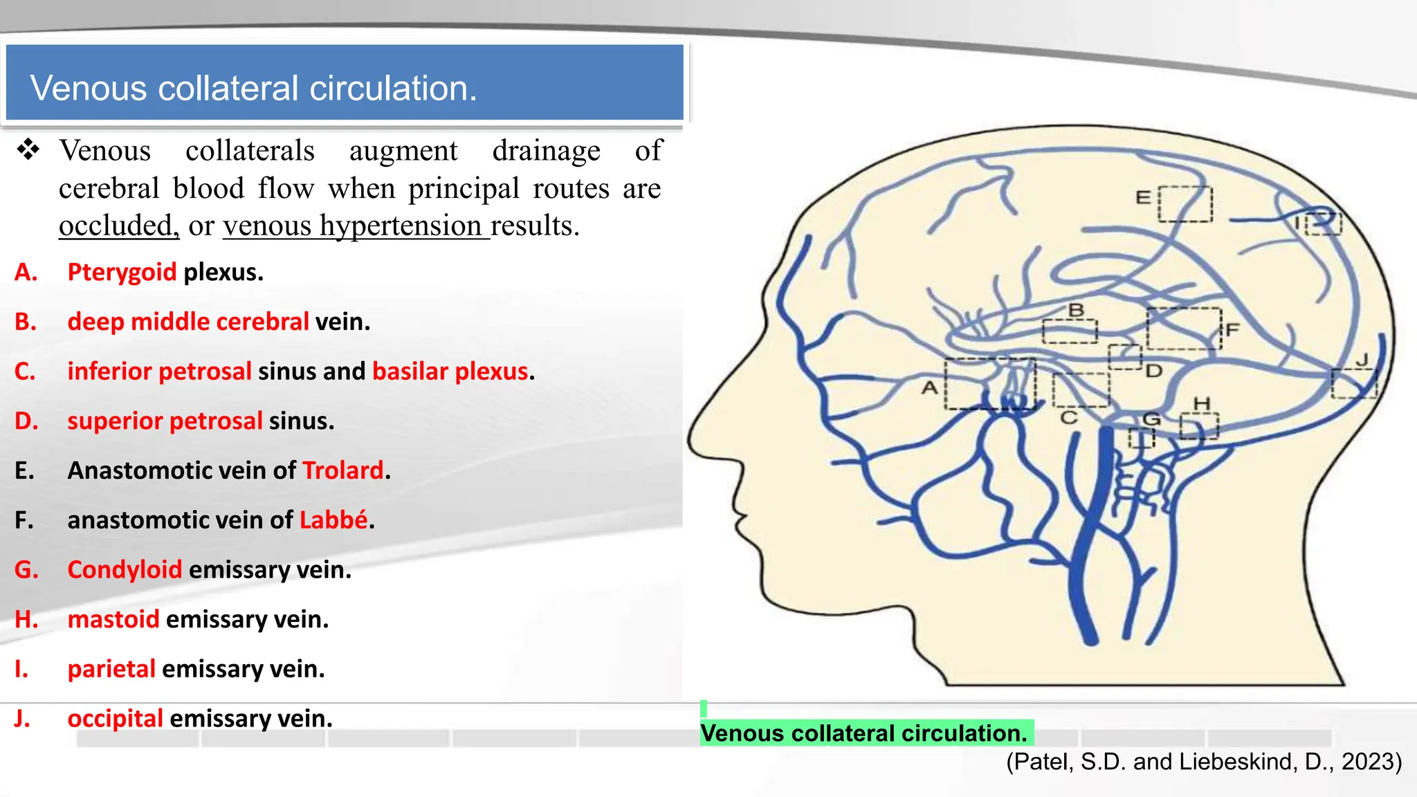 extracranial and intracranial cerebral collateral circulation .pptx