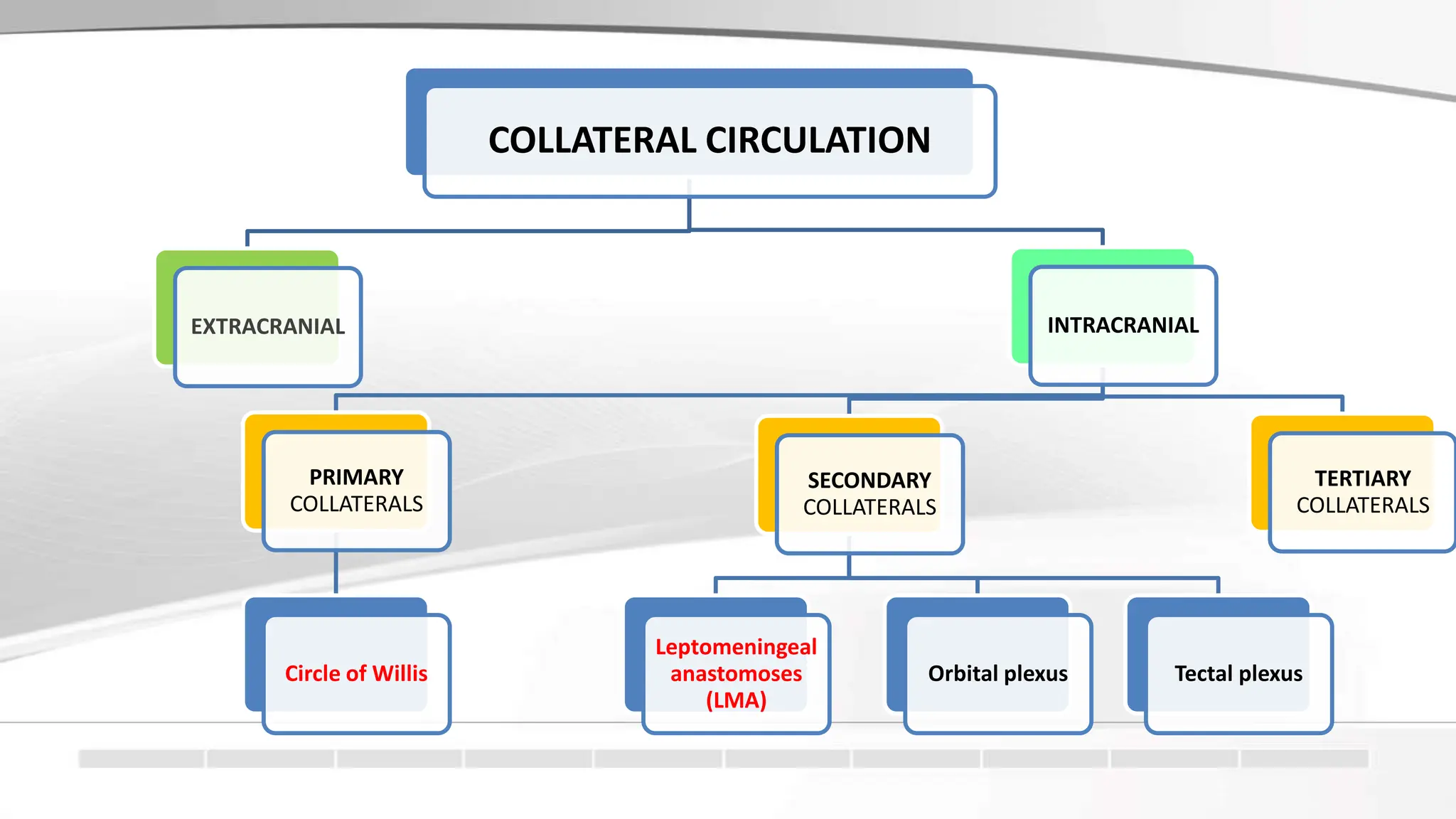 extracranial and intracranial cerebral collateral circulation .pptx