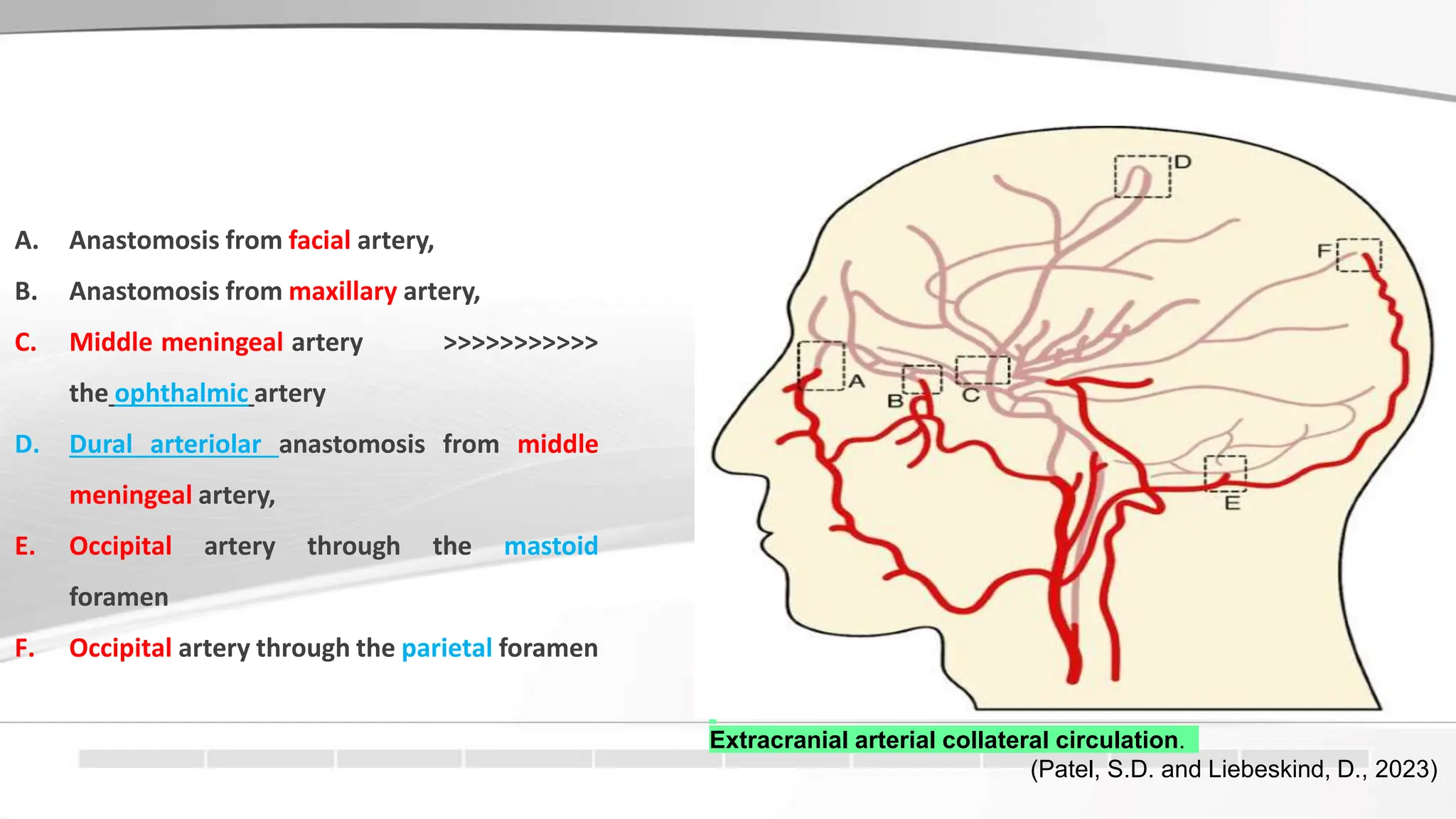 extracranial and intracranial cerebral collateral circulation .pptx
