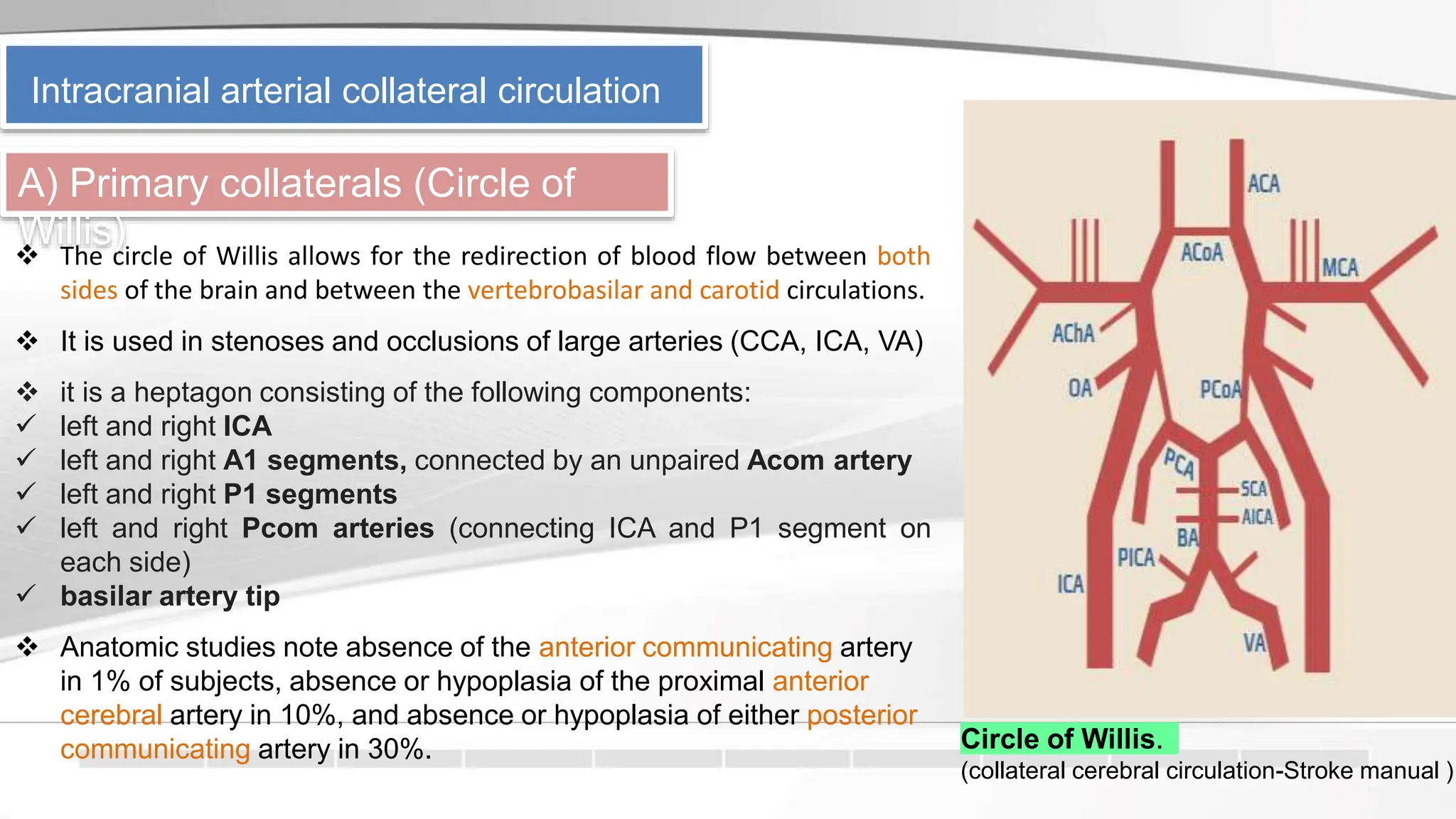 extracranial and intracranial cerebral collateral circulation .pptx