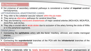 extracranial and intracranial cerebral collateral circulation .pptx