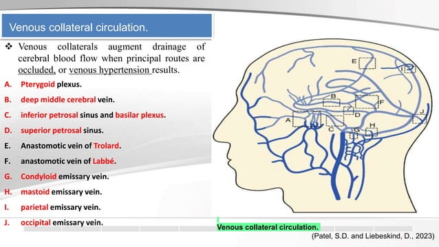 extracranial and intracranial cerebral collateral circulation .pptx