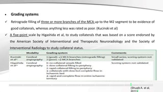 extracranial and intracranial cerebral collateral circulation .pptx
