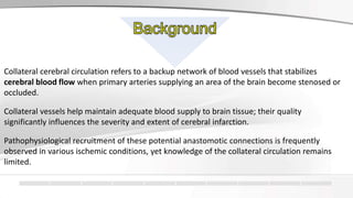 extracranial and intracranial cerebral collateral circulation .pptx