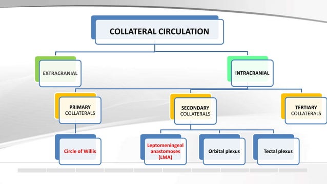extracranial and intracranial cerebral collateral circulation .pptx