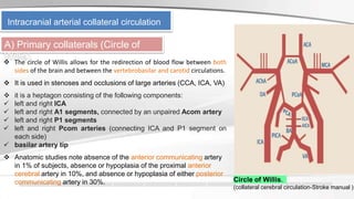 extracranial and intracranial cerebral collateral circulation .pptx