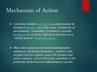 Colchicim autumnale | PPTX