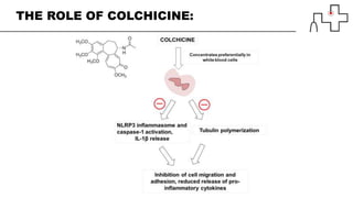 Colchicine drug in cardiovascular clinical trials | PPTX | Heart and ...
