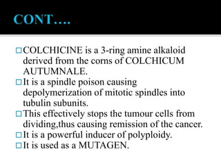 Colchicum - Anti Rheumatic agent | Cultivation | Description | Chemical ...