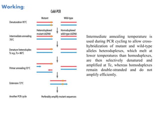 COLD - PCR | PPTX