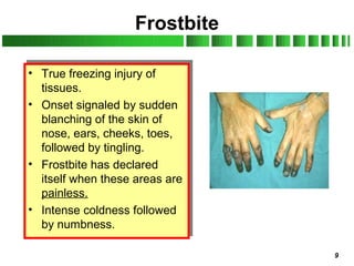 Cold weather-safety extensive power point | PPT