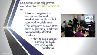 Cold Weather | PDF