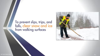 Cold Weather | PDF