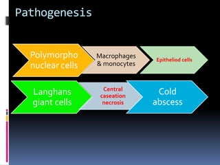Cold abscess | PPTX