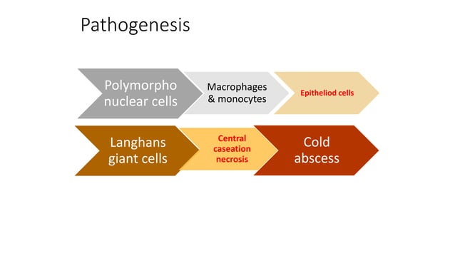 Cold abscess | PPTX