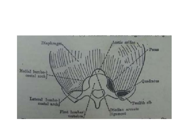 Cold abscess sites | PPTX