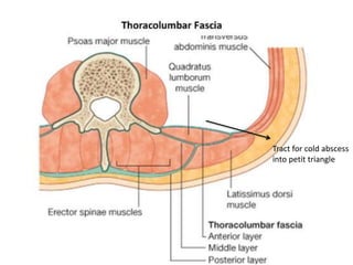 Cold abscess sites | PPTX