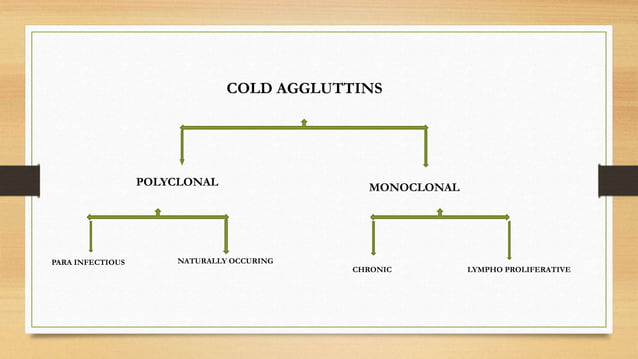 COLD AGGLUTINS.pptx