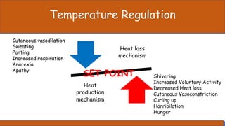 Cold and Heat Injuries-AUK.pptx heat and | PPTX
