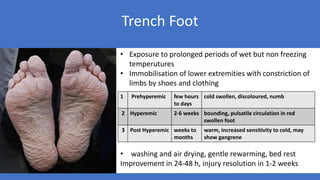 Cold and Heat Injuries-AUK.pptx heat and | PPTX