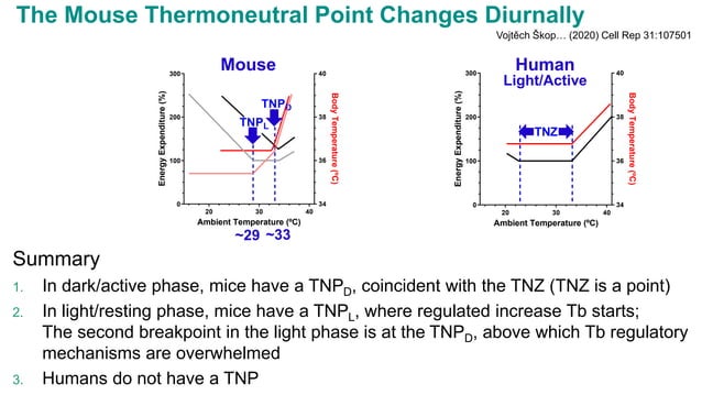 Thermal Physiology: The Effects of Environmental Temperatures on Energy ...