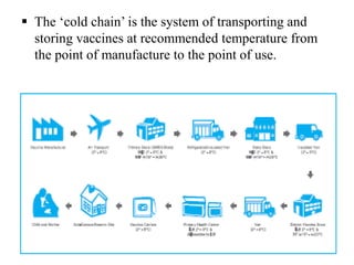 Cold chain | PPTX