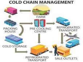 Cold chain | PPT